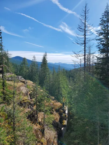 Best Easy Trails in Paradise | AllTrails