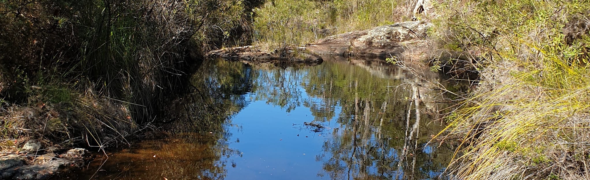 A Break via Somerset Trail, Queensland, Australia - 7 Reviews, Map ...
