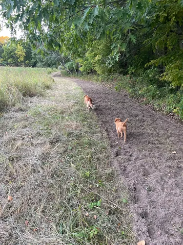 Best Hikes and Trails in Lamprey Pass WMA | AllTrails