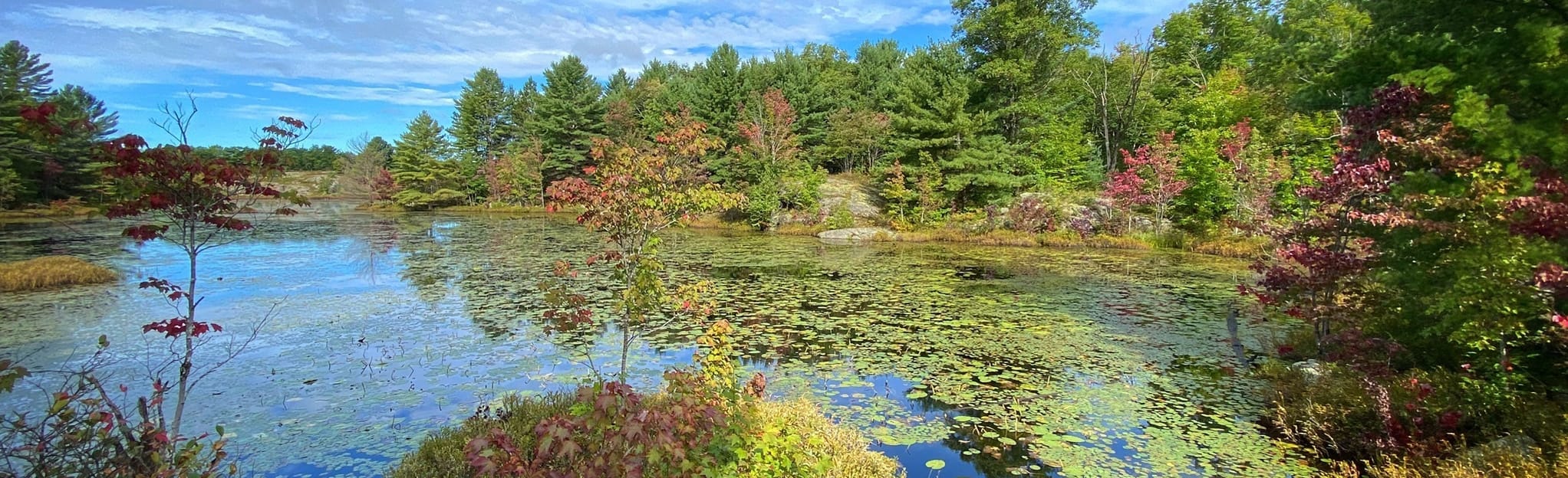 Sheldon Lake and Scrabble Mountain Loop, Ontario, Canada - 101 Reviews ...