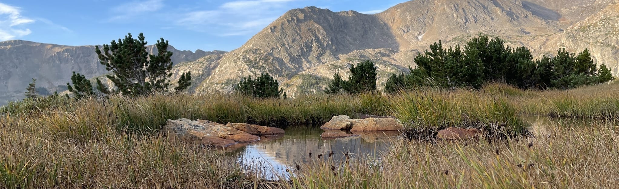 Junco Lake Loop [GESPERRT]: 3.474 Fotos - Colorado | Wandern | AllTrails