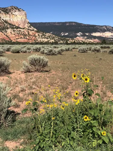 10 Best Camping Trails in Santa Fe National Forest | AllTrails