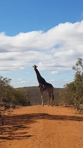 Best 10 Hikes and Trails in Lindani Game and Lodges | AllTrails