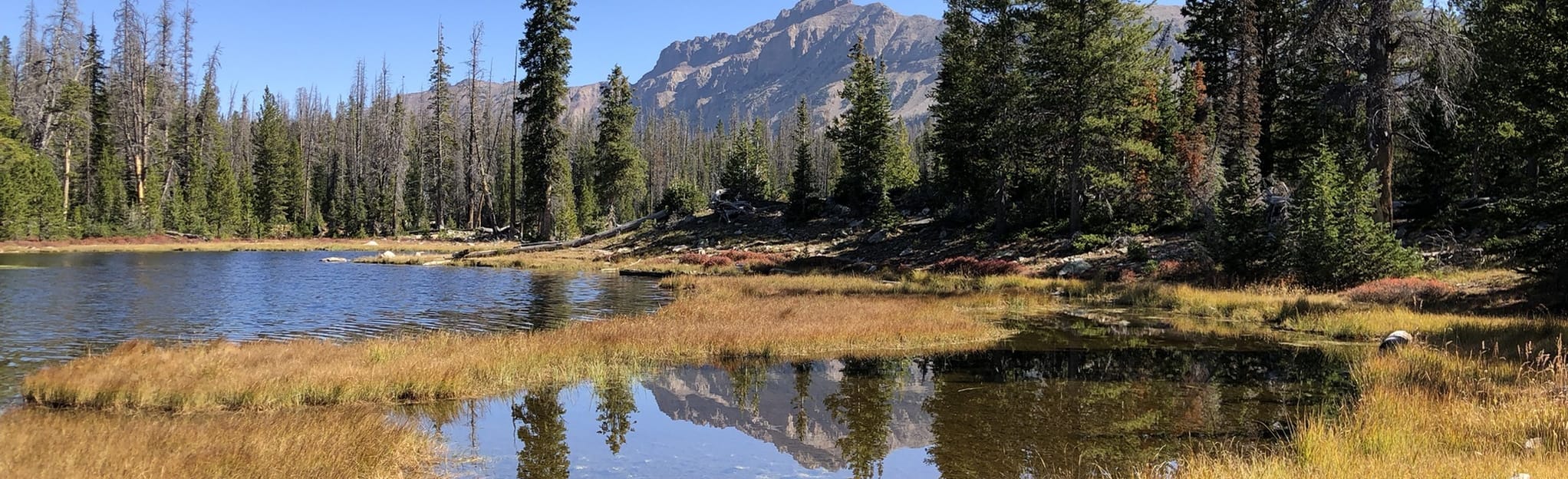 Uinta Highline Trail to Blue Lake and Shaler Lake - Utah | AllTrails