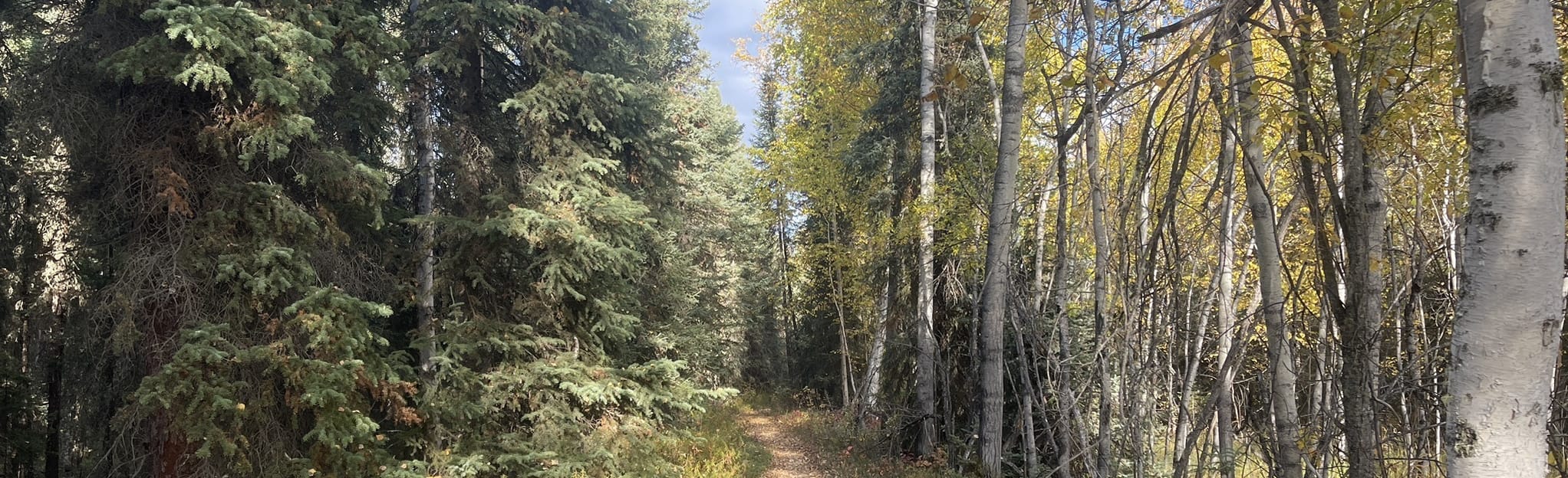 Harding Lake State Recreation Area Trail 2: 5 Reviews, Map - Alaska ...