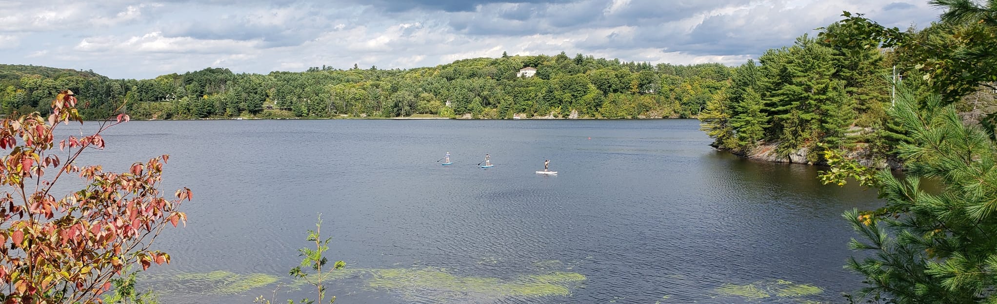 Voie Verte Chelsea, Quebec, Canada - 124 Reviews, Map | AllTrails
