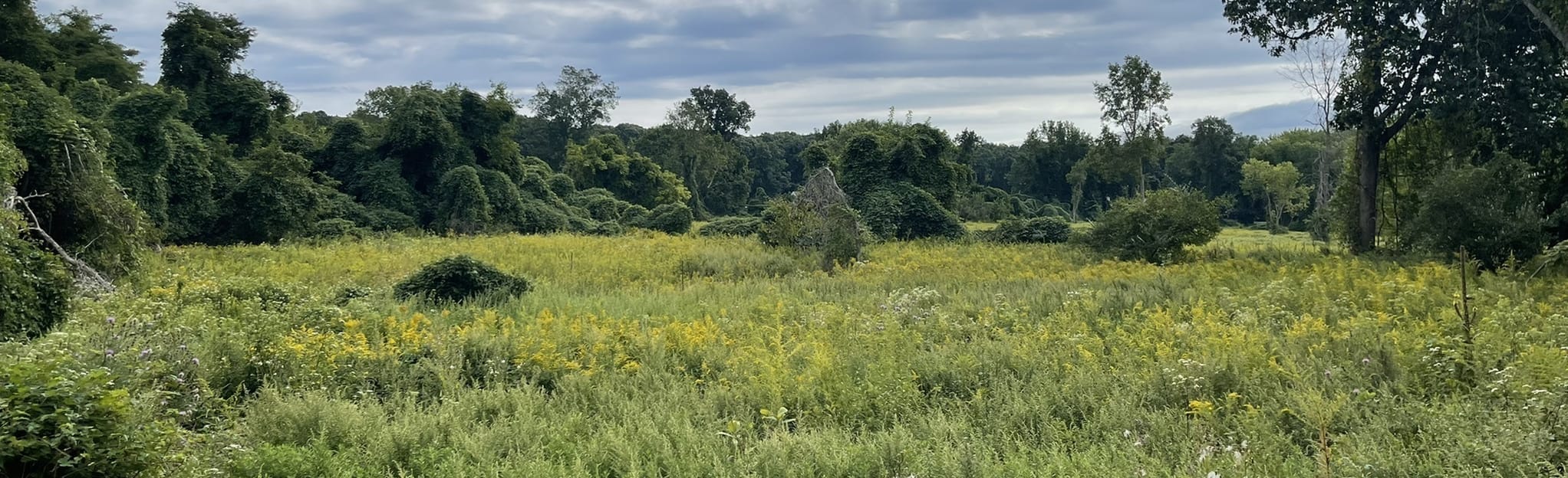 David Weld Sanctuary Tour, New York - 428 Reviews, Map | AllTrails