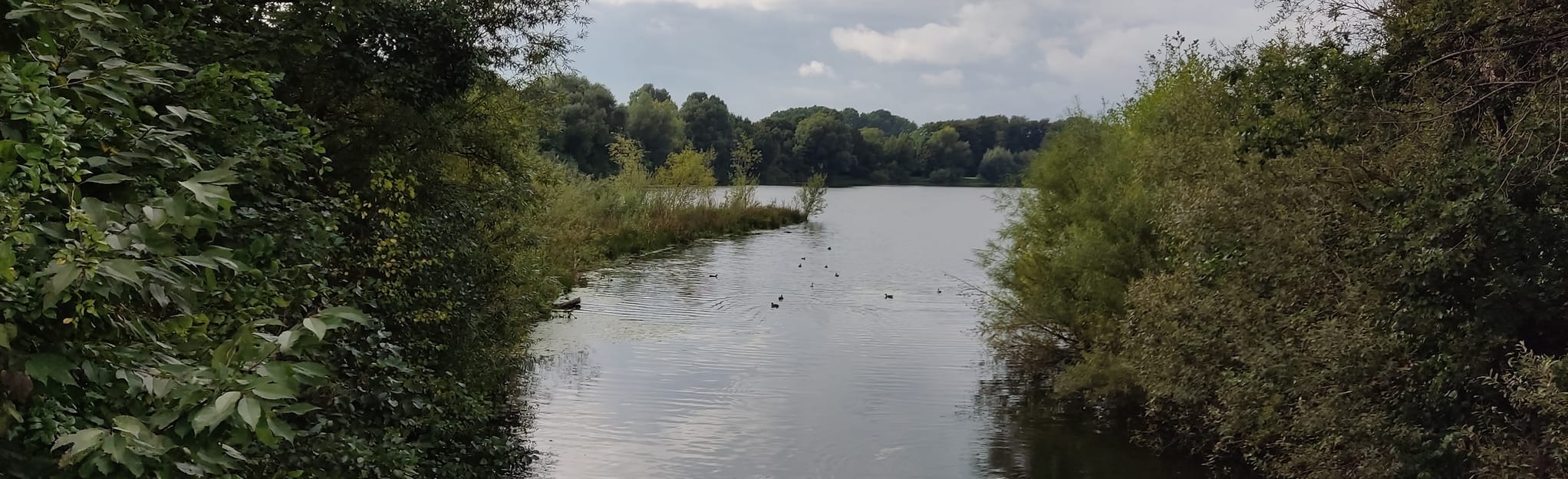 Padersee Loop, North Rhine-Westphalia, Germany - 12 Reviews, Map ...