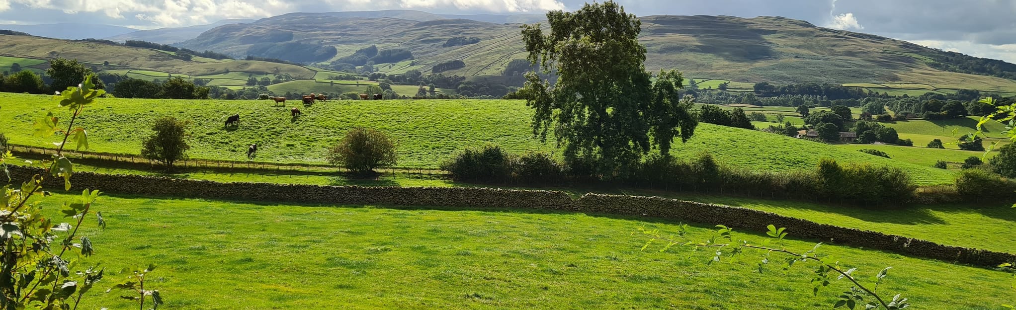 Sedbergh, Firbank and Ingmire Hall Circular, Cumbria, England - 23 ...