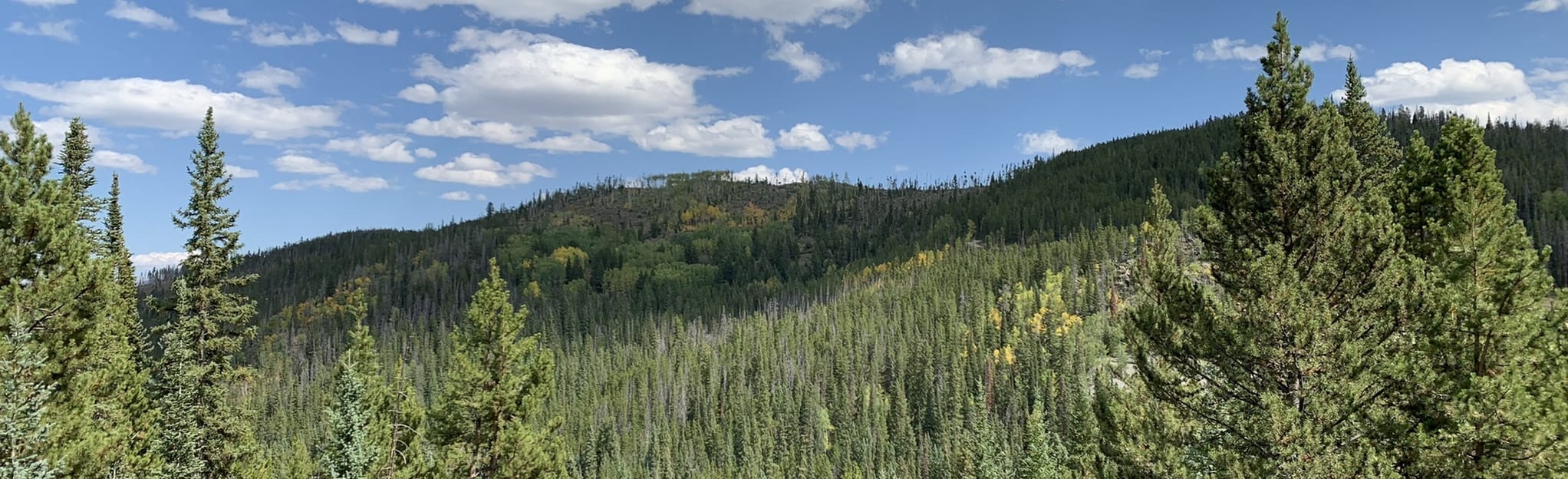 Blue Sky Loop: 631 Reviews, Map - Colorado | AllTrails