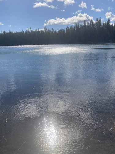 2023 Best 10 Trails and Hikes in Grande Cache | AllTrails