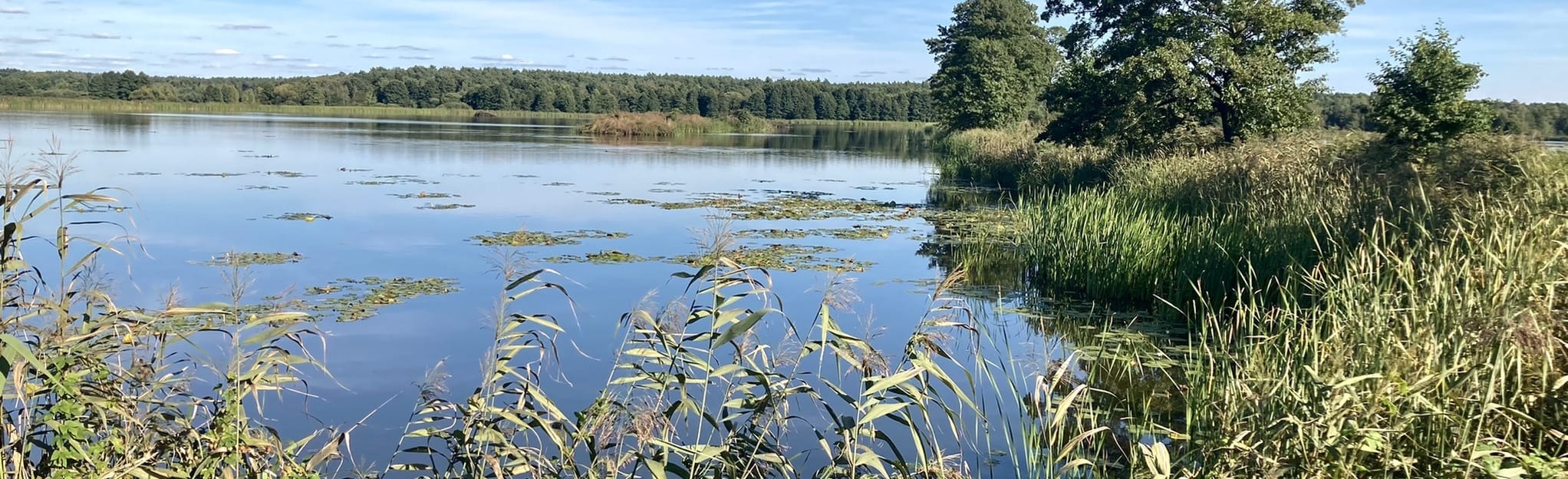 Bobrówka Nature Trail: 1 Reviews, Map - Lublin (Lubelskie), Poland ...