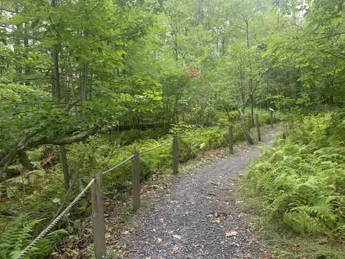 10 Best Walking Trails in Worcester | AllTrails