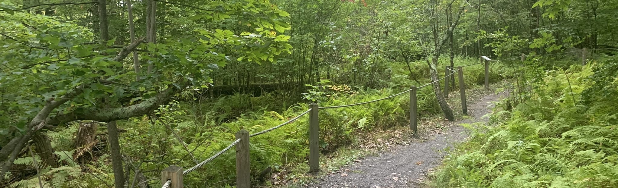 Broad Meadow Sensory Trail: 209 Reviews, Map - Massachusetts | AllTrails