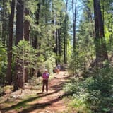 Highline National Recreation Trail, Arizona - 153 Reviews, Map | AllTrails