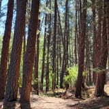 Highline National Recreation Trail, Arizona - 153 Reviews, Map | AllTrails