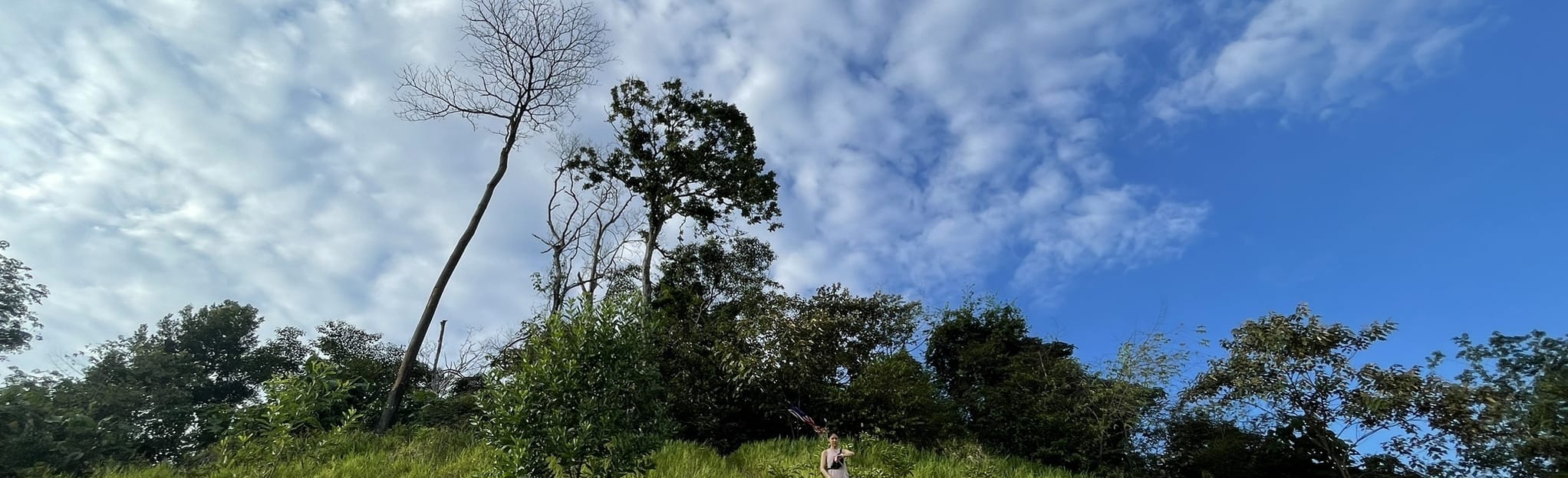 Kiaramas Ayuria - Angkor Wat Tree [CLOSED]: 796 Reviews, Map - Kuala ...