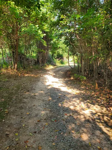 Best Hikes and Trails in St. Clements Island State Park | AllTrails