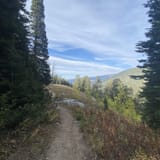 Jackson Peak Trail, Wyoming - 210 Reviews, Map | AllTrails
