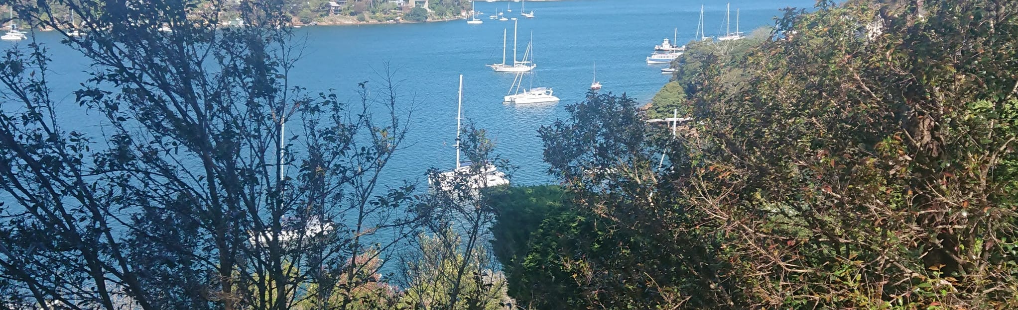 Castlecrag Architecture Walk, 30 Photos - New South Wales, Australia ...