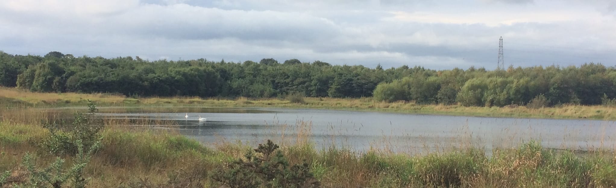 Dunnikier Country Park and Balbeggie Community Woodland Circular: 26 ...