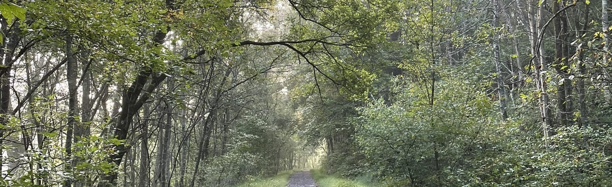 Adamston to Spelter Rail Trail, West Virginia - 33 Reviews, Map | AllTrails