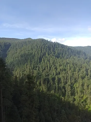 2023 Best Long Trails in Cumbres del Ajusco National Park | AllTrails