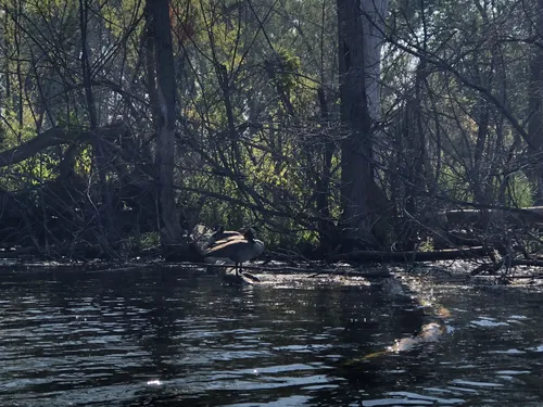 Best Hikes and Trails in Peche Island Provincial Park | AllTrails