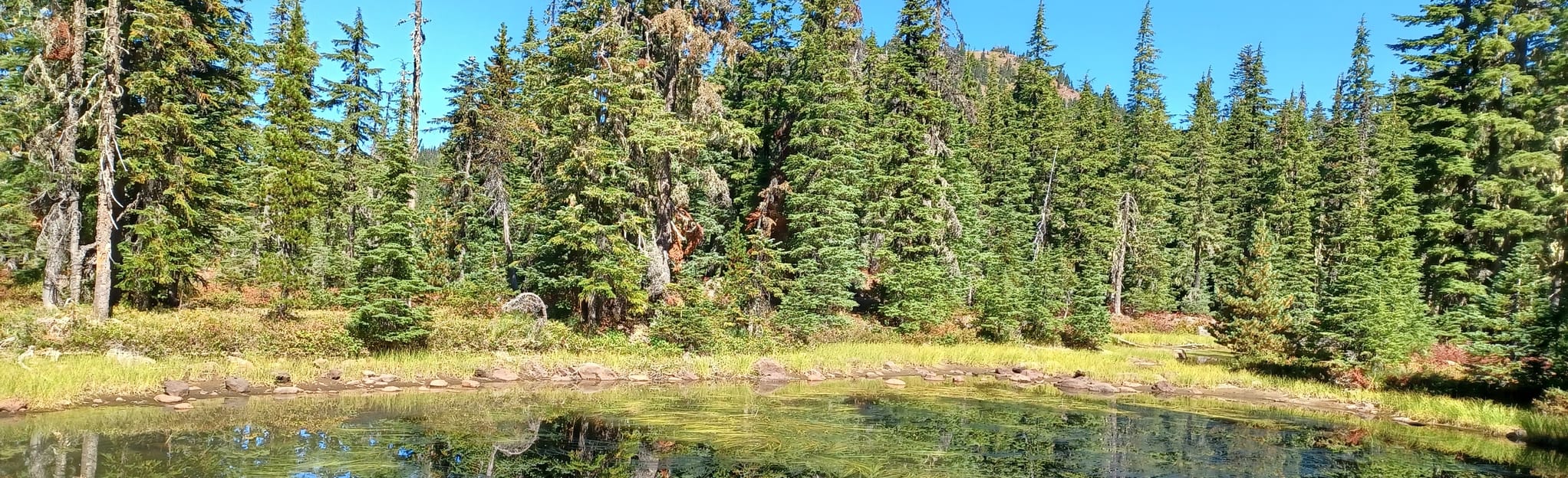 Scott Mountain Loop Trail, Oregon - 166 Reviews, Map | AllTrails