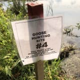 Lake Williams and Lake Redman, Pennsylvania - 180 Reviews, Map | AllTrails