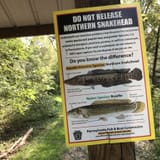 Lake Williams and Lake Redman, Pennsylvania - 180 Reviews, Map | AllTrails