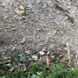 Lake Williams and Lake Redman, Pennsylvania - 180 Reviews, Map | AllTrails
