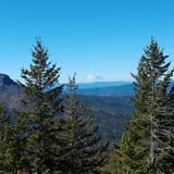 Tronsen Ridge Trail, Washington - 123 Reviews, Map | AllTrails