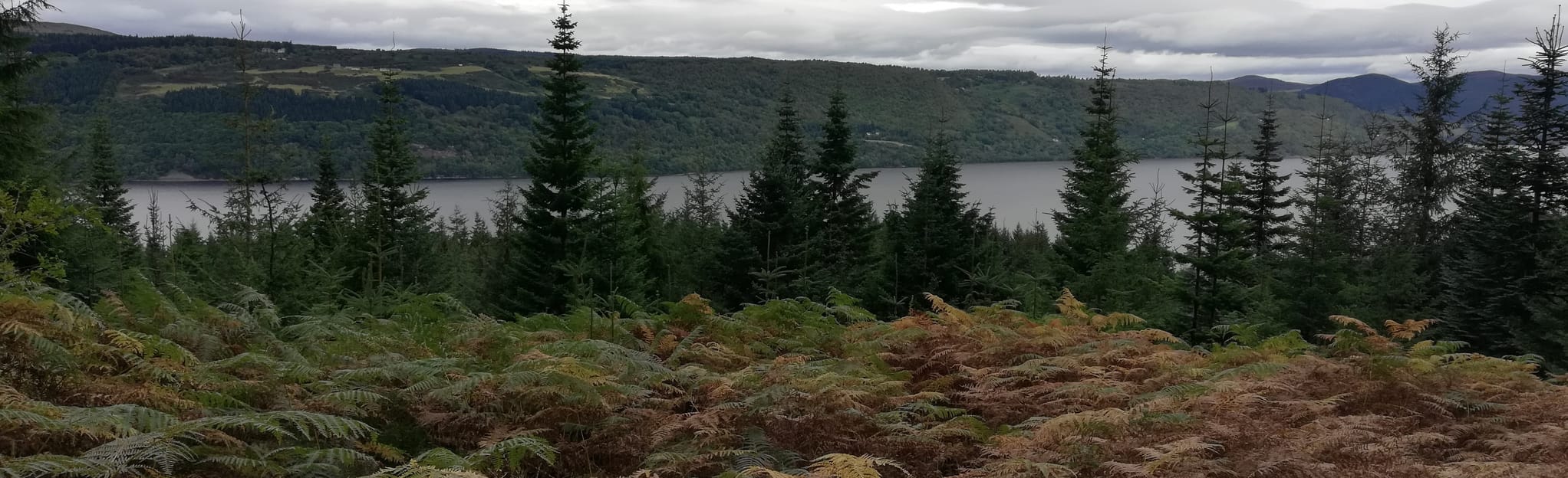 Foyers and Inverfarigaig Circular, Highlands, Scotland - 50 Reviews ...