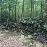 The Pinnacle, Pennsylvania - 542 Reviews, Map | AllTrails