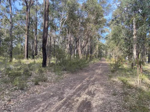 Best Walking Trails in Penrith | AllTrails