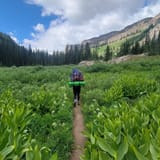 Death Canyon Loop, Wyoming - 123 Reviews, Map | AllTrails