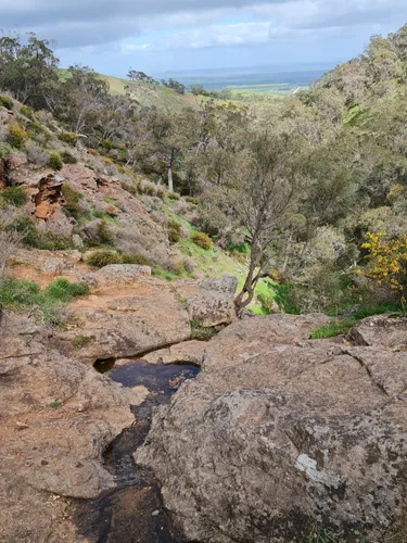 Best Walking Trails in Spring Gully Conservation Park | AllTrails