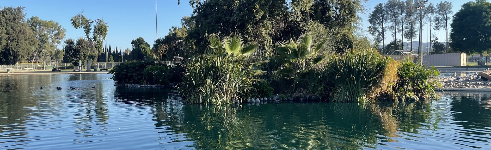 Reseda Pond Path, California - 42 Reviews, Map | AllTrails