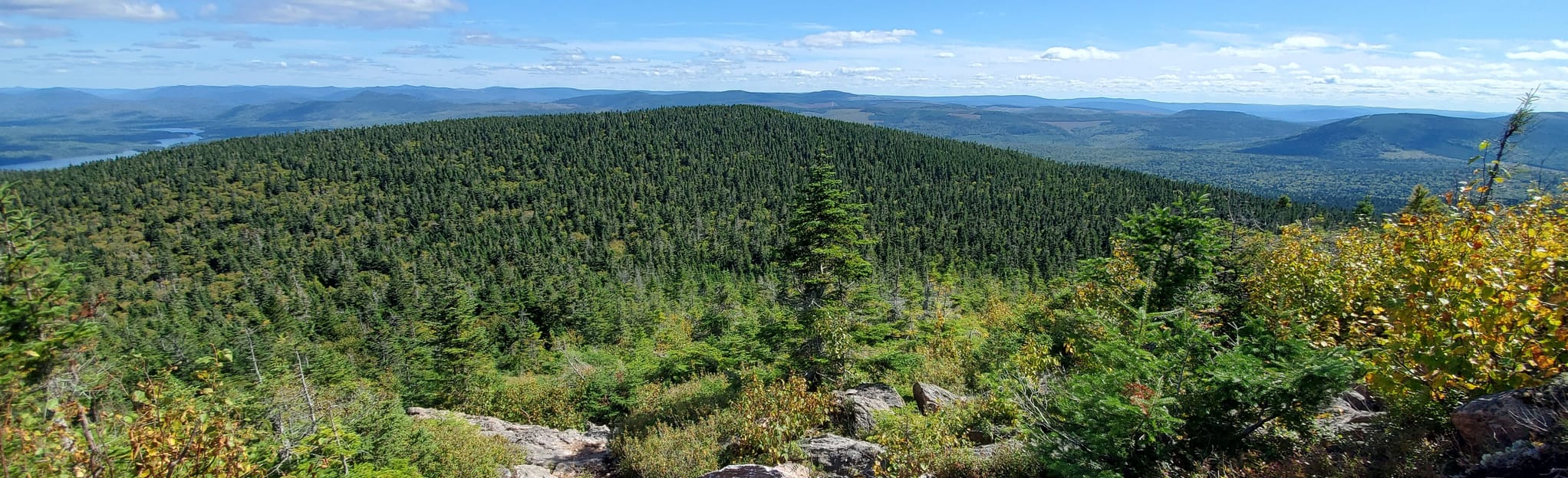 Mount Sagamook, Mount Head and Mount Carleton Trail: 227 foto - Nuovo ...