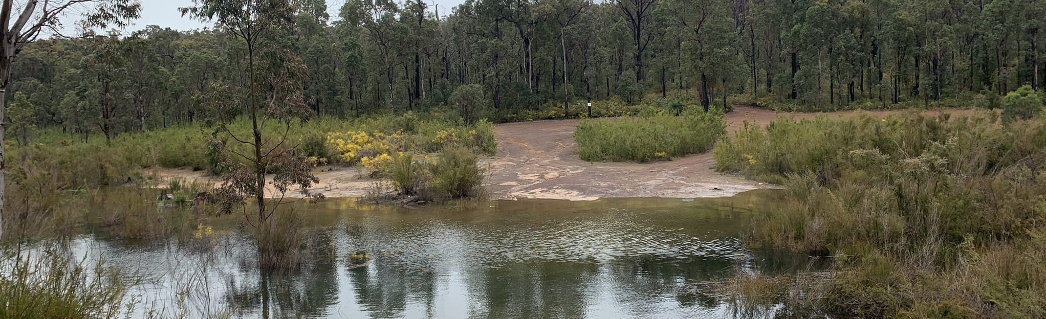 Lake Brockman Loop (Logue Brook Dam), Western Australia, Australia - 46 ...