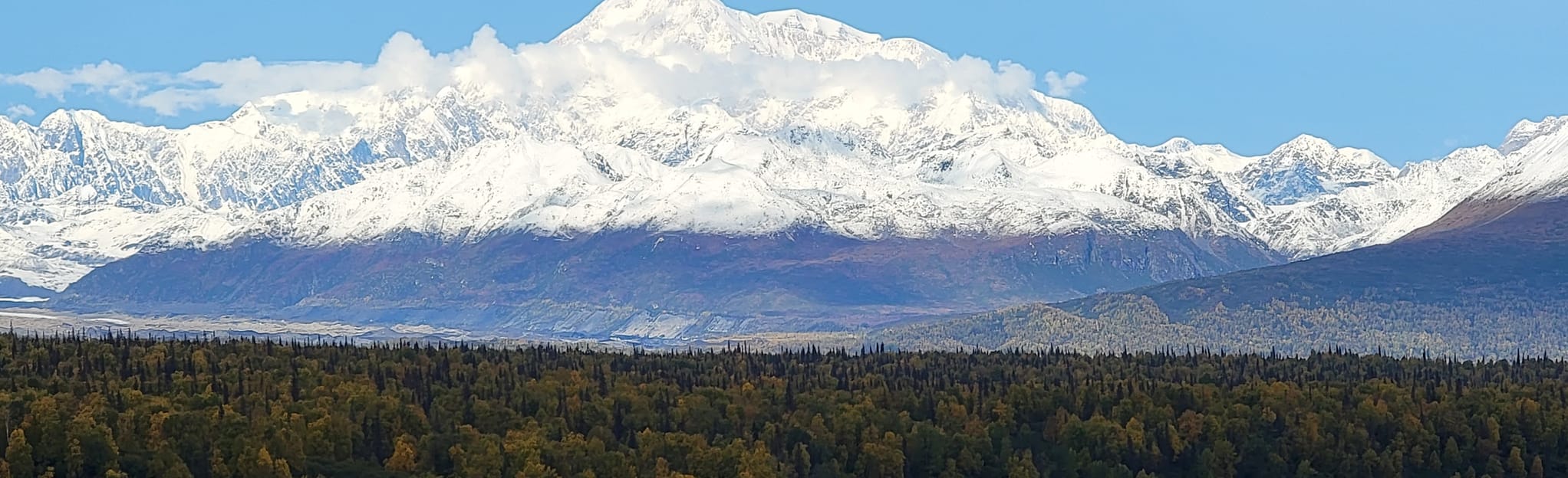 Denali View North: 13 Reviews, Map - Alaska | AllTrails