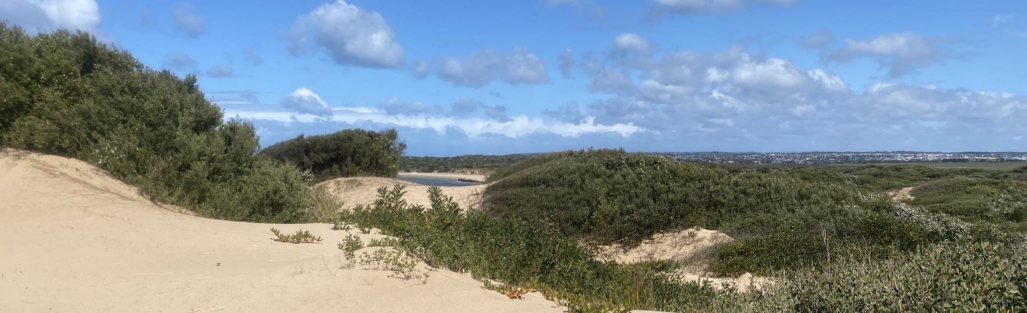 Whites Beach, Point Impossible Beach, and Buckleys Bay Loop - Victoria ...