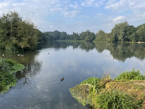 Best Forest Trails in Addlestone | AllTrails