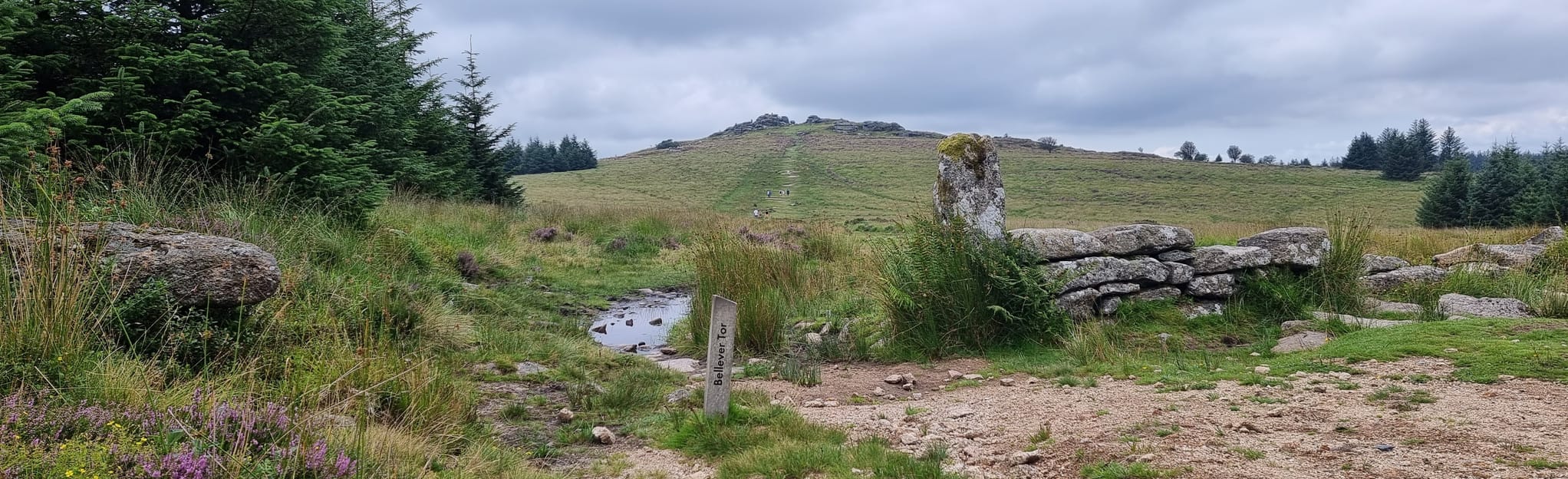 Bellever Forest: Postbridge Trail: 27 Reviews, Map - Devon, England ...