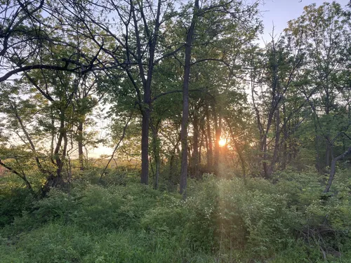 Best Hikes and Trails in Miller Ecological Park | AllTrails