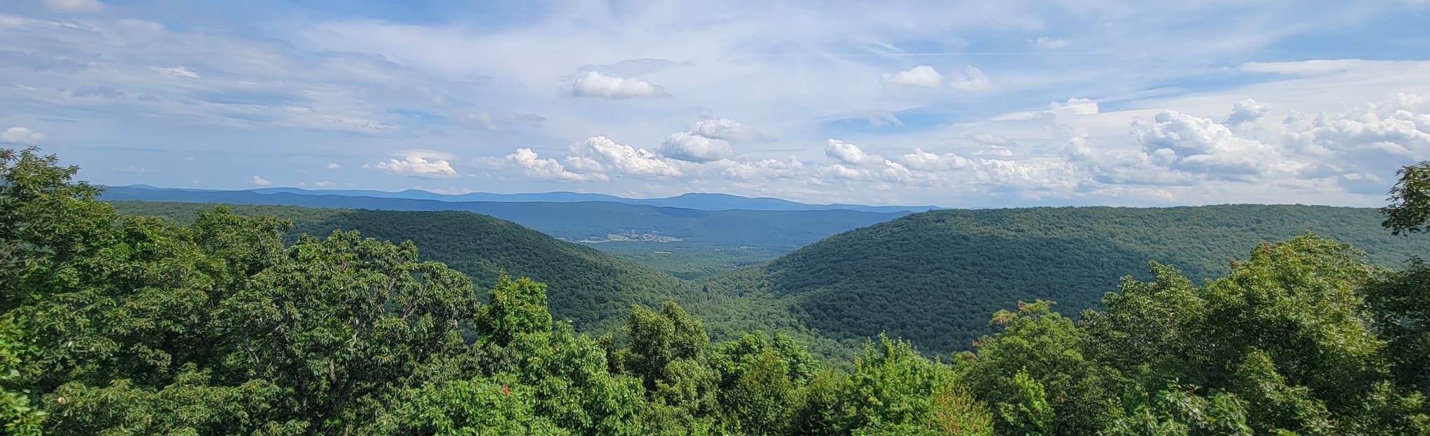 Peter's Mill Run OHV Trail: 319 Reviews, Map - Virginia | AllTrails