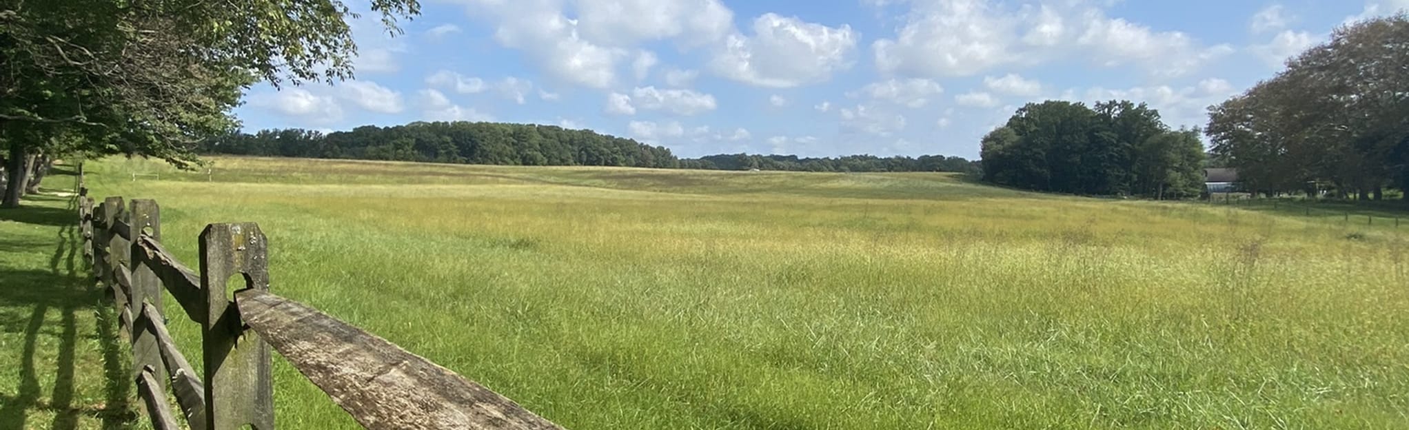 Chestnut Lane, Shady Lane, and Pennypack Trail: 40 Reviews, Map ...