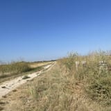 Lubbock Lake National Historic Landmark Loop, Texas - 172 Reviews, Map ...