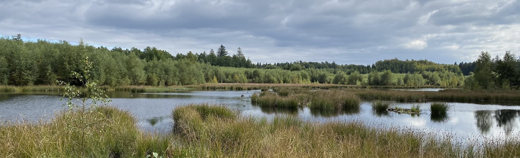 Multebjerg Shelters - Gribskoven - Sandskredssøen, Capital Region of ...